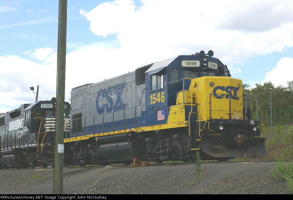 CSX 1546